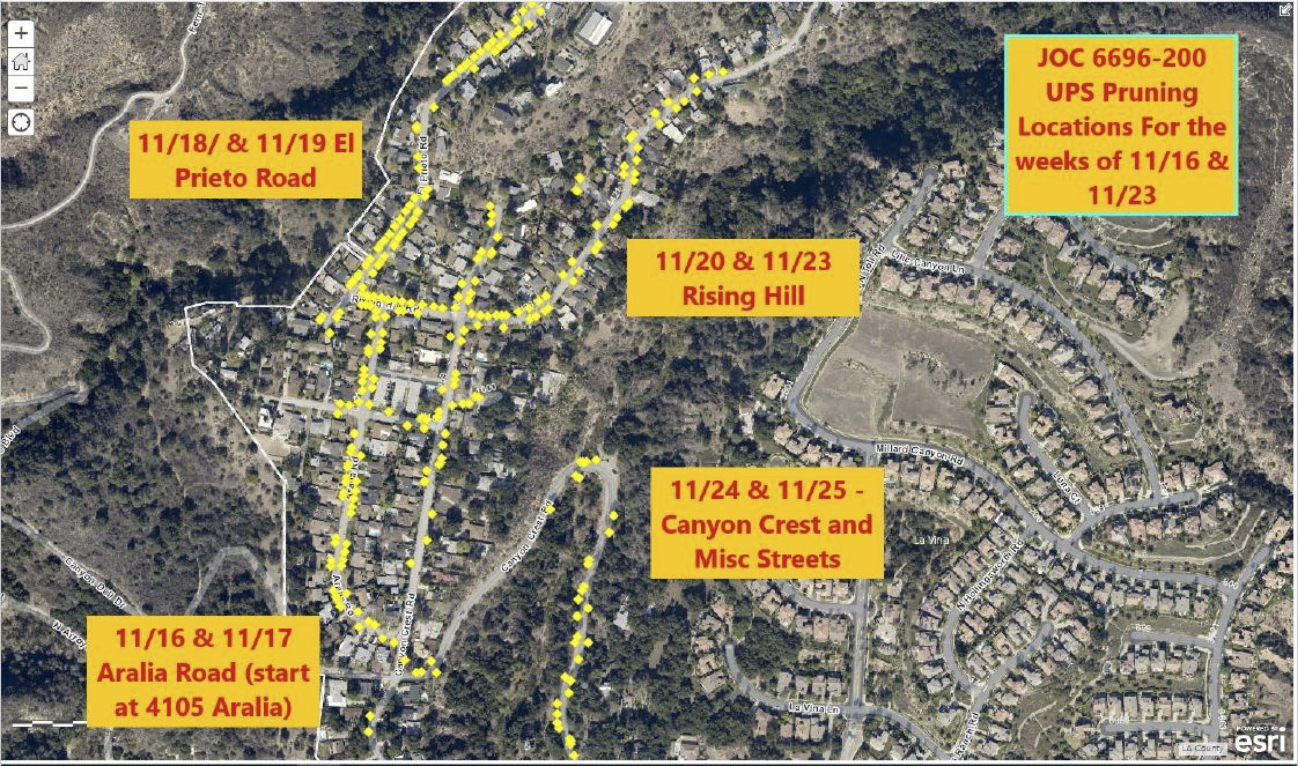 West Altadena Broadleaf Tree Trimming Phase II begins… « Altadena Town ...